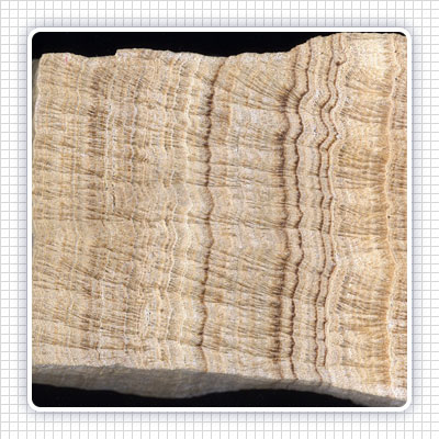 All Items Need to be Known on Limestone Powder Grinding Line - Fote ...